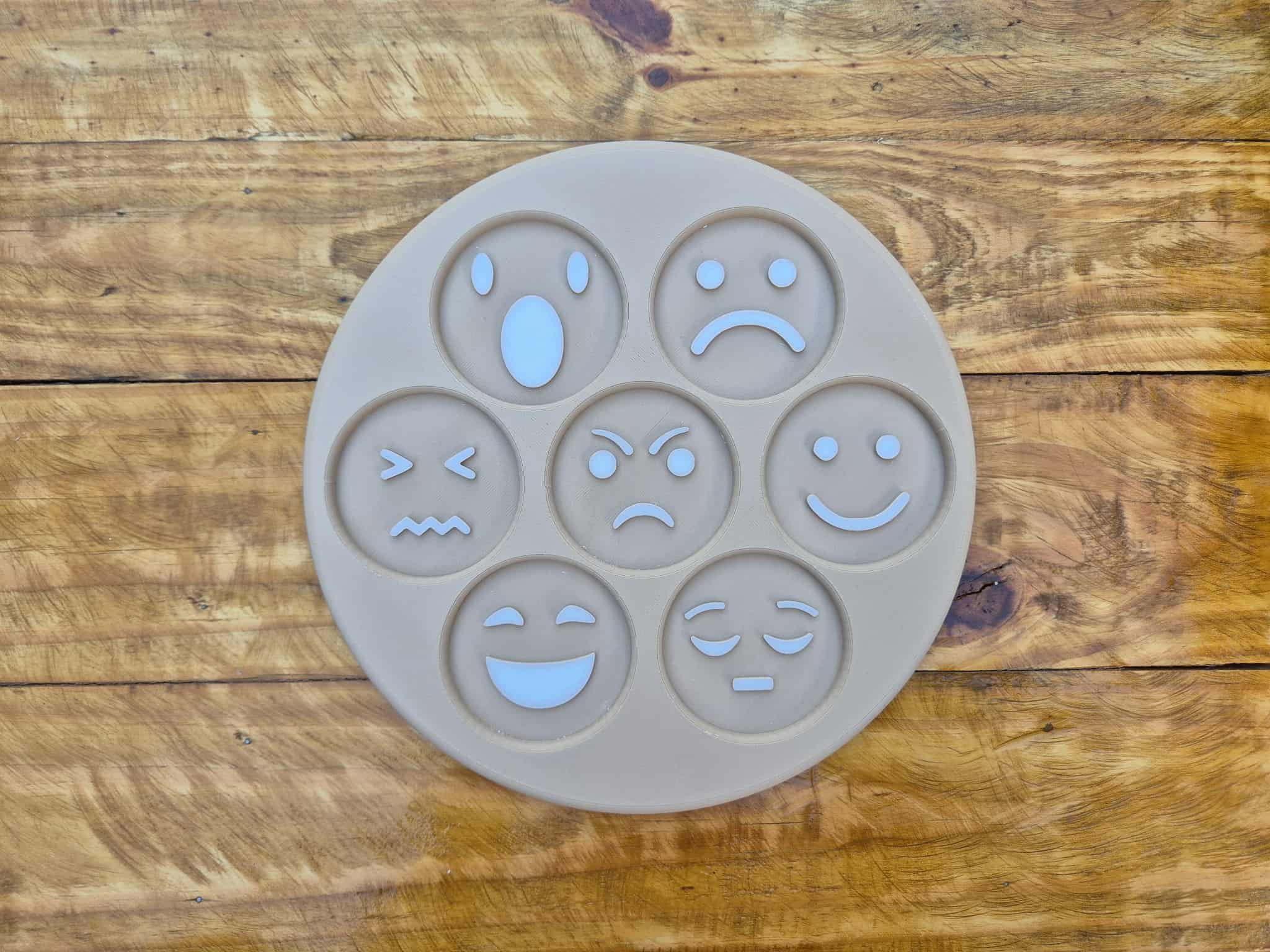 Emotions Tray | Wild Imaginations 3D